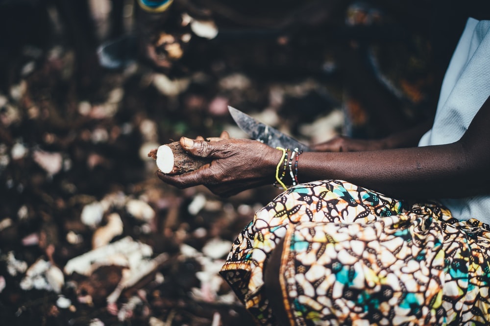 The History of Black Foods in Africa – BLAM UK CIC