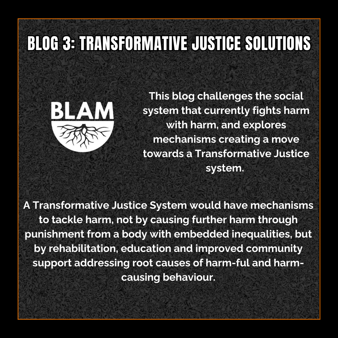 TRANSFORMATIVE BLOG SERIES: JUSTICE SOLUTIONS – BLAM UK CIC